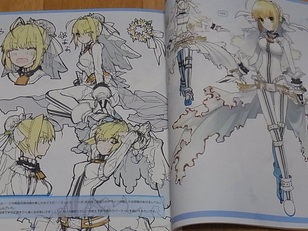 TYPE-MOON Fate EXTRA material Arco Wada – q to Japan