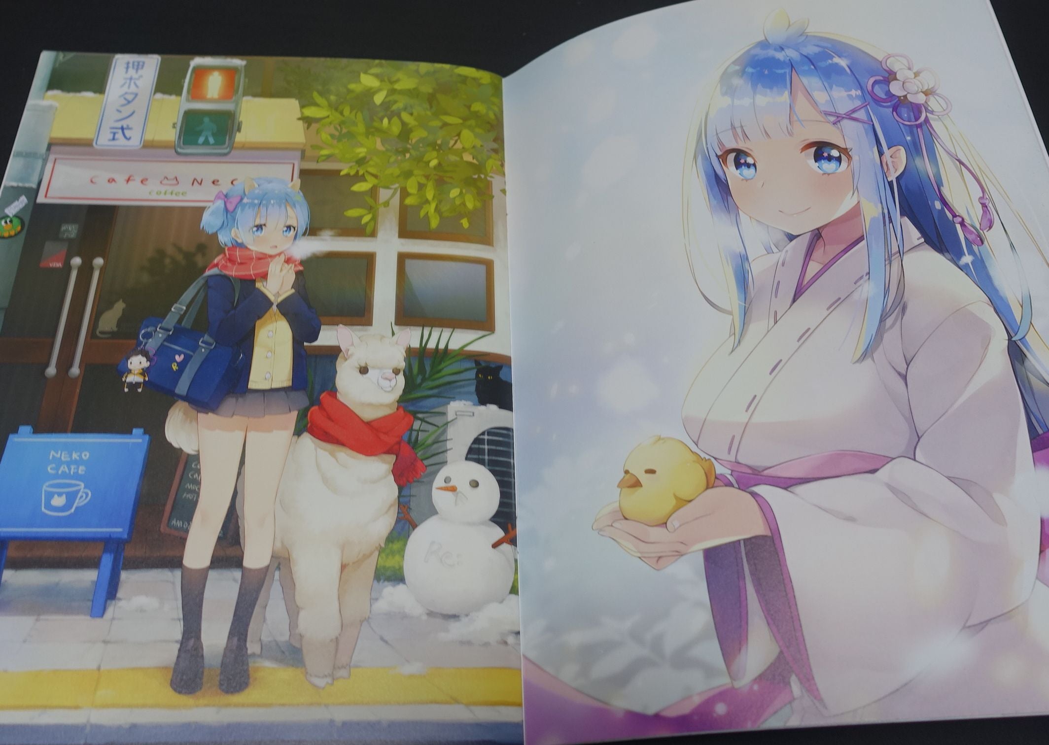 Hachigo Ayami Re Zero Rem Color Fan Art Book REM x MIMI – q to Japan