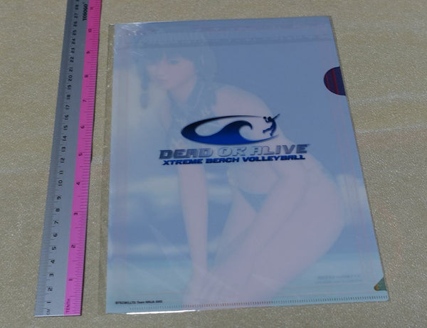 DEAD OR ALIVE DOA XTREME BEACH VOLLEY BALL PVC Art Sheet Leifang – q to ...