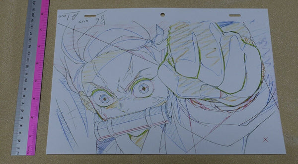ufotable Kimetsu no Yaiba Demon Slayer Print Key Frame Art Sheet Nezuk ...