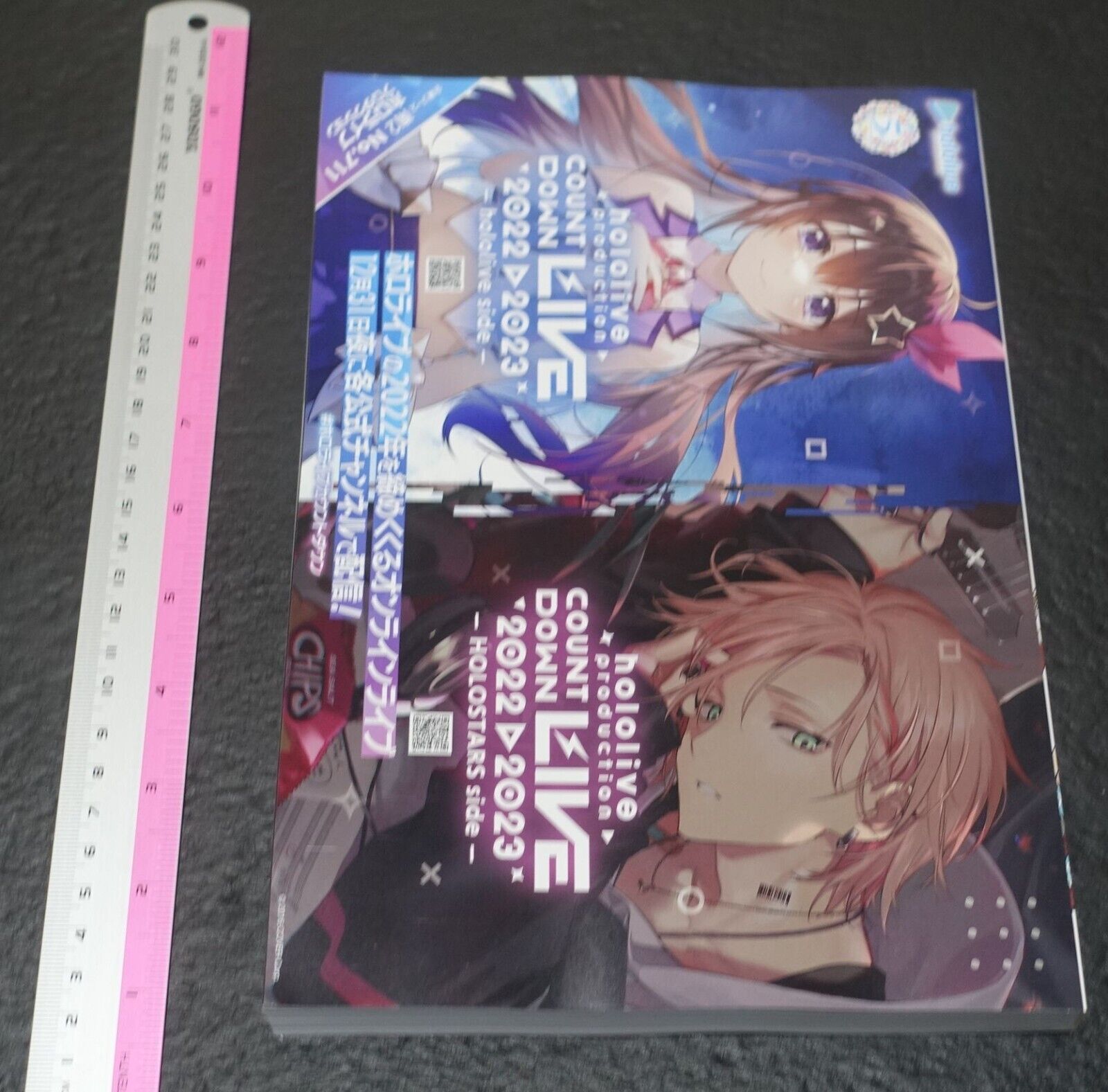 Japanese Comic Market 101 Circle Catalog & Melonbooks Goods Set C101 – q to Japan