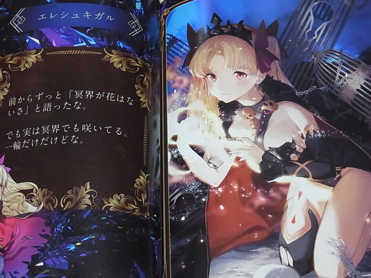 Gravity5 Fate FGO Color Fan Art Book Fate Grand Order Human Extinction ...