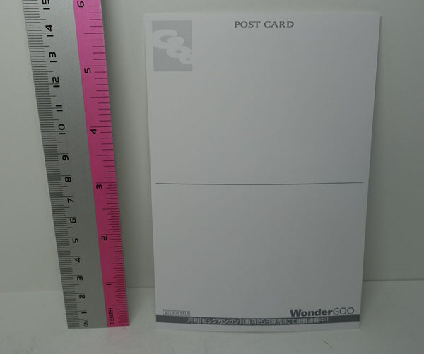 Akame ga Kill! ZERO e-Wondergoo Privilege Art Post Card Kurome – q to Japan