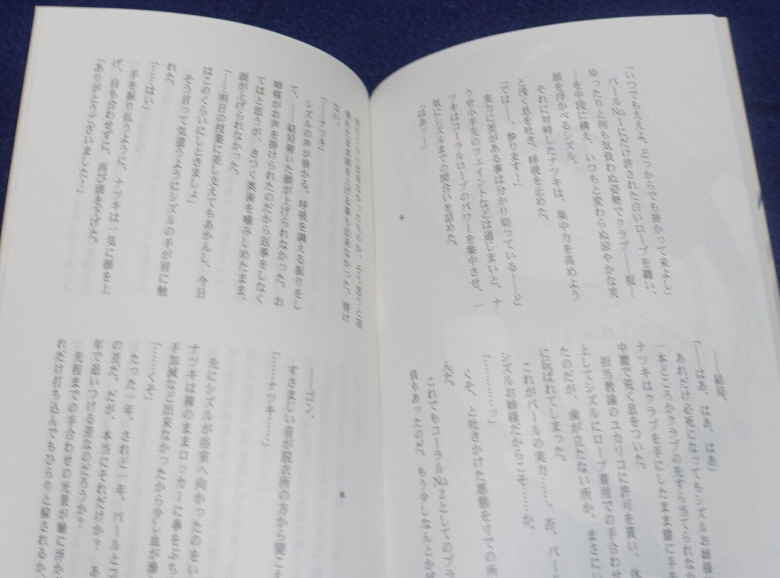 Waterfall Mai-Hime Otome Natsuki & Shizuru Fan Novel Book Kokoni Ima A ...