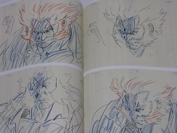 JUNICHI HAYAMA COLLECTION OF ANIMATIONS X-MEN BLADE & SOUL Casshern Si ...