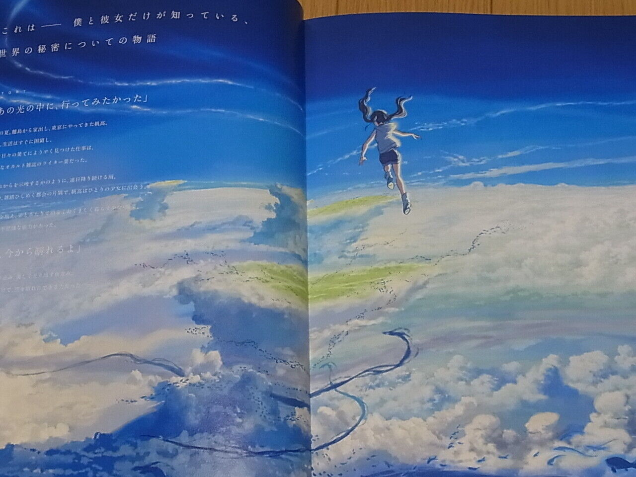 Weathering With You Tenki no Ko Movie Pamphlet Brochure Book Shinkai M ...
