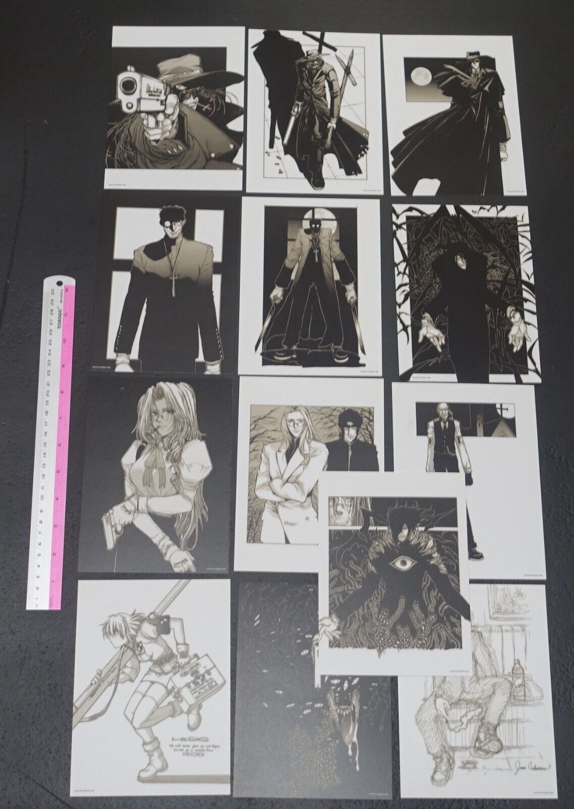 HELLSING Art Card 13 pieces set The artwork of KOUTA HIRANO from origi ...