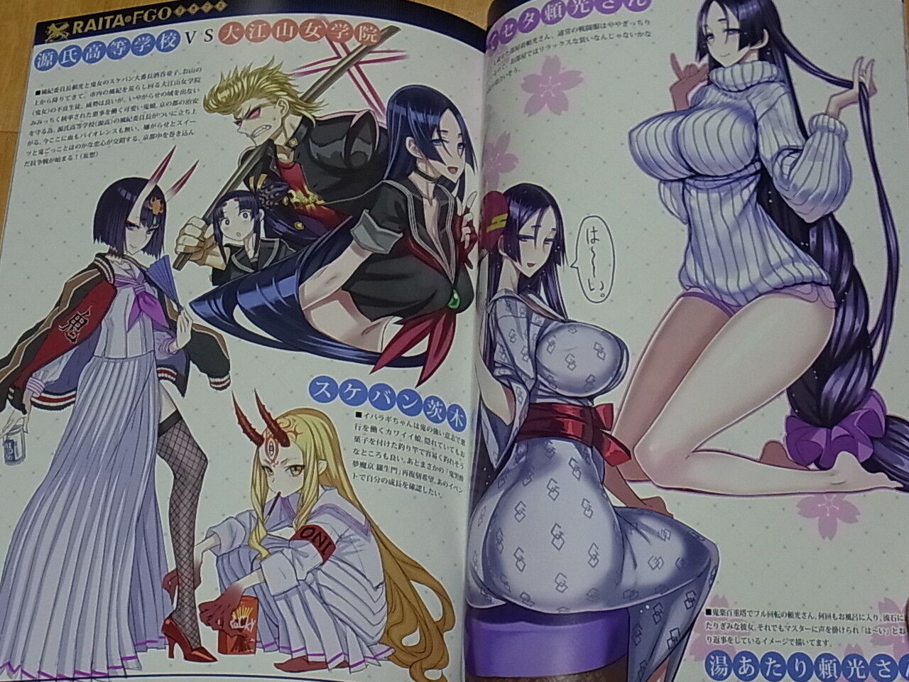 Raita Fate FGO Designer's Fan Art Book RAITA no Rakugaki hon Raikou – q to Japan